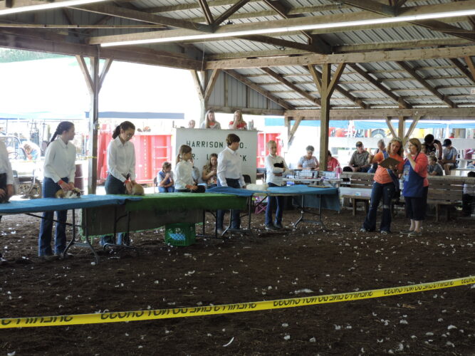 Harrison County Fair in full swing | News, Sports, Jobs - The Times Leader